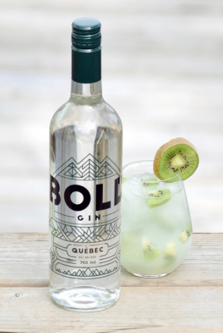 ¿Cual es la mejor Ginebra del Mundo? | Destilados Superiores